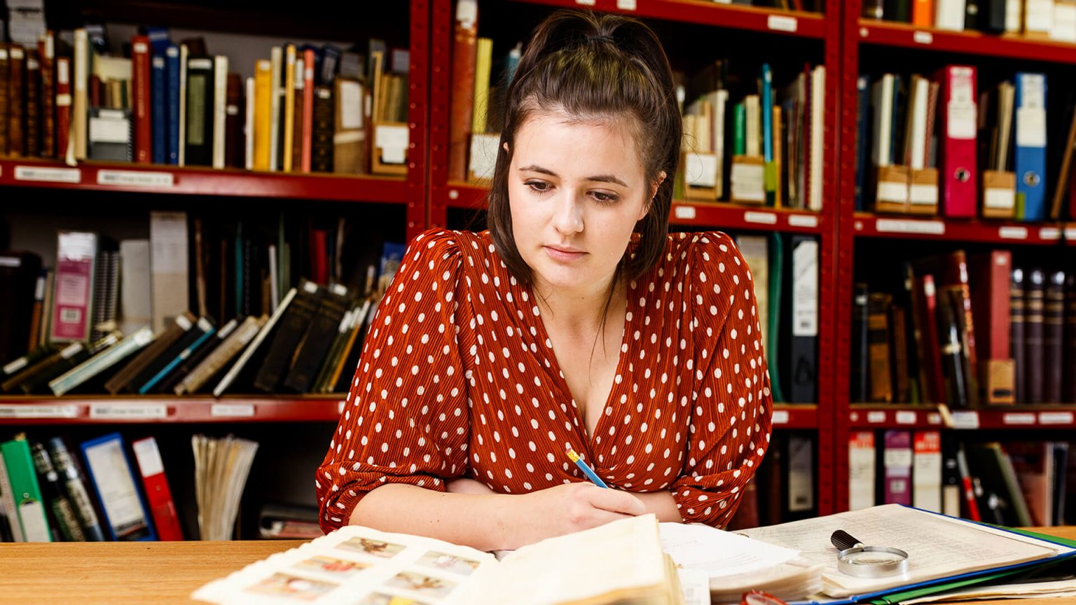 Frome Museum | Frome Museum