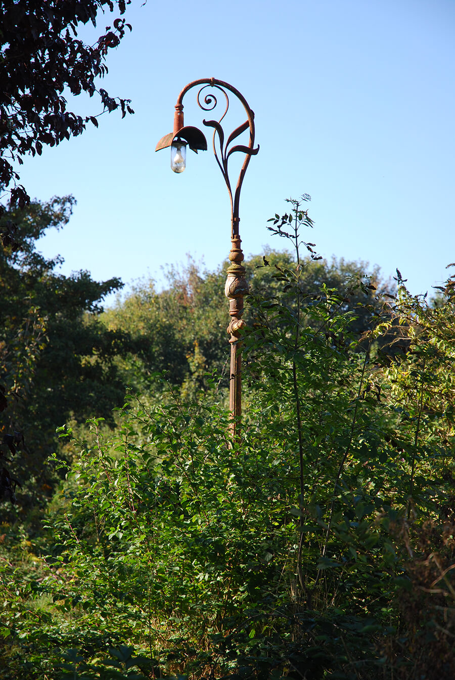 Cockey | Frome Museum