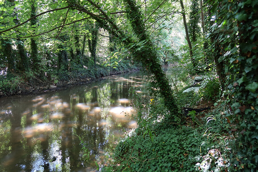 The rise and fall of the wool and cloth industry in Frome | Frome Museum