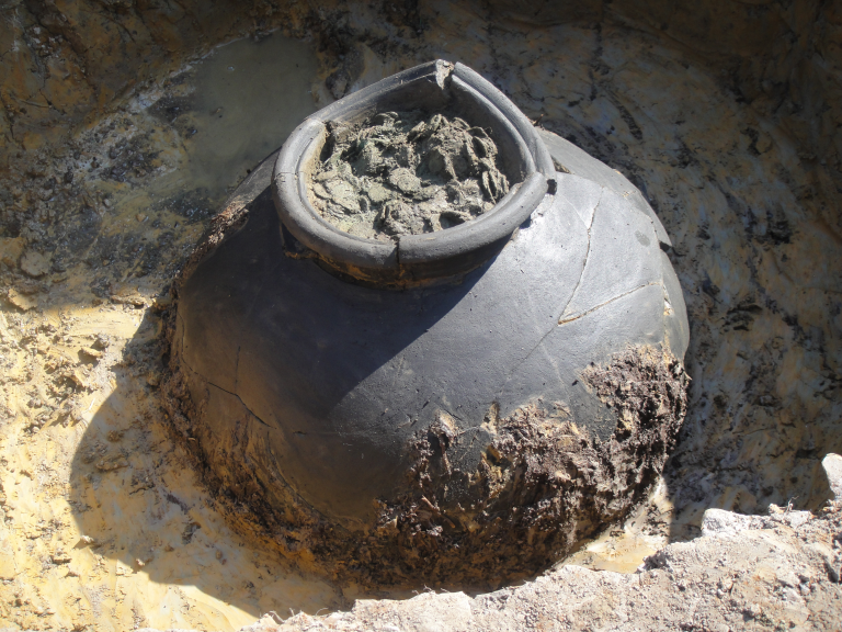 Frome Museum | Frome Museum