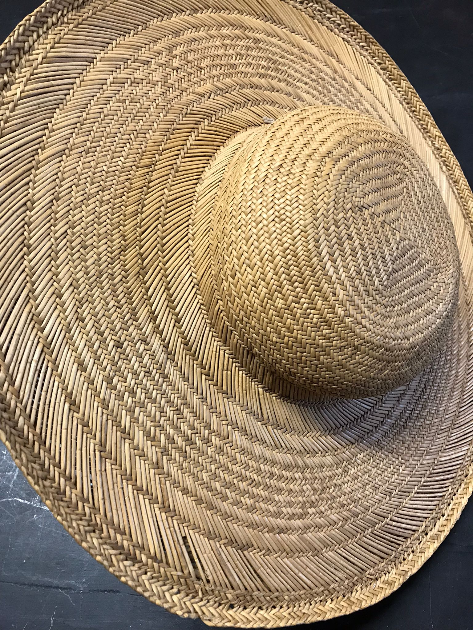 Frome Museum | Frome Museum