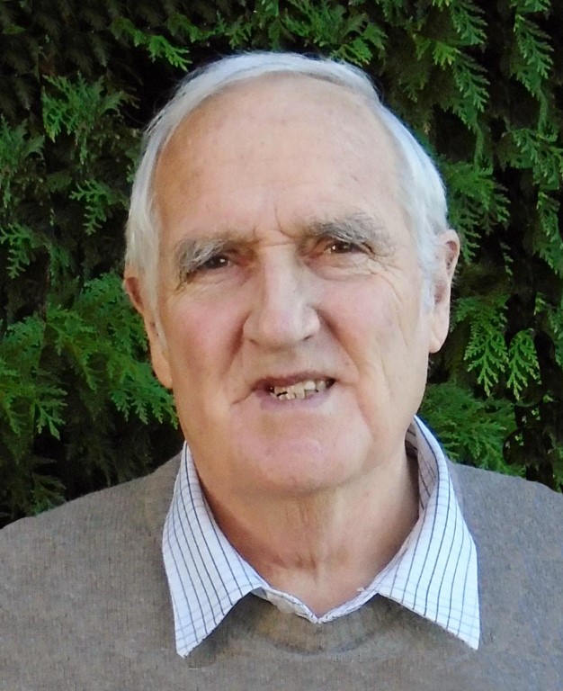 Trevor Weston remembers the shops in the Trinity area of Frome | Frome ...